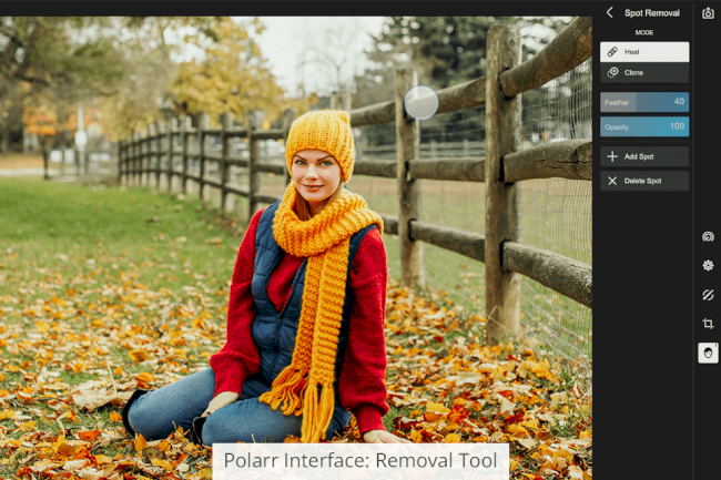 Polarr vs Lightroom: What Program to Choose?