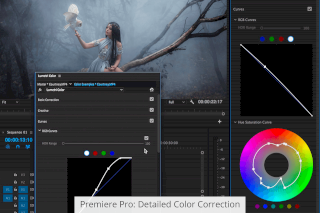 Adobe Media Encoder vs Premiere Pro: What to Use in 2025