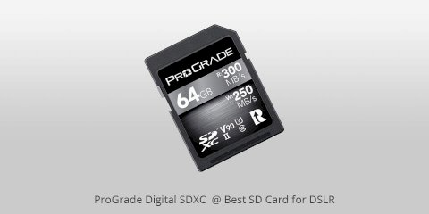 11 Best SD Cards for DSLR in 2025