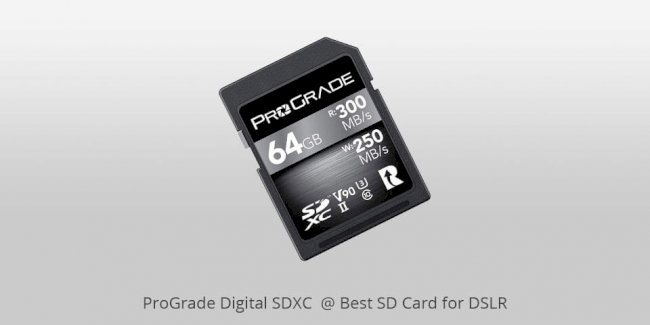 11 Best SD Cards for DSLR in 2025