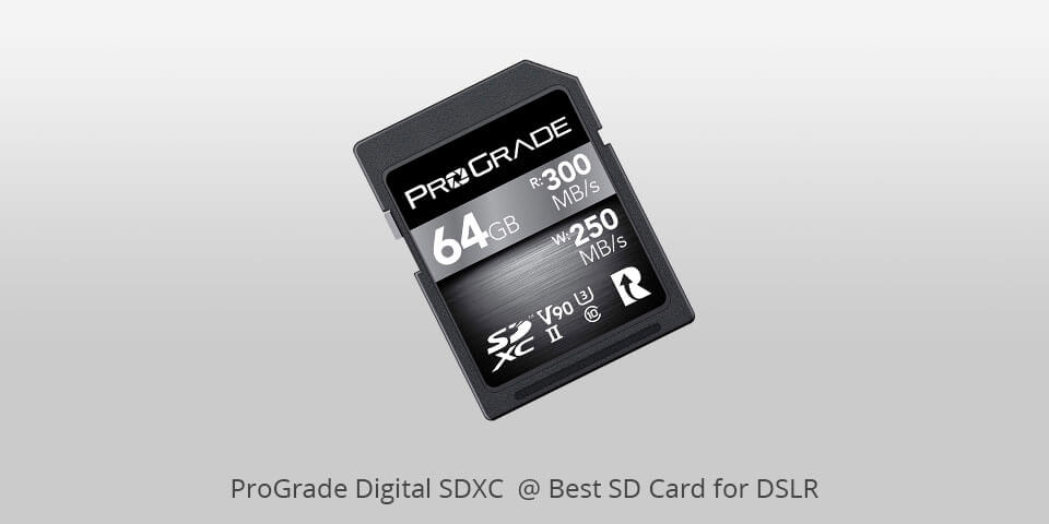 11 Best SD Cards for DSLR in 2025