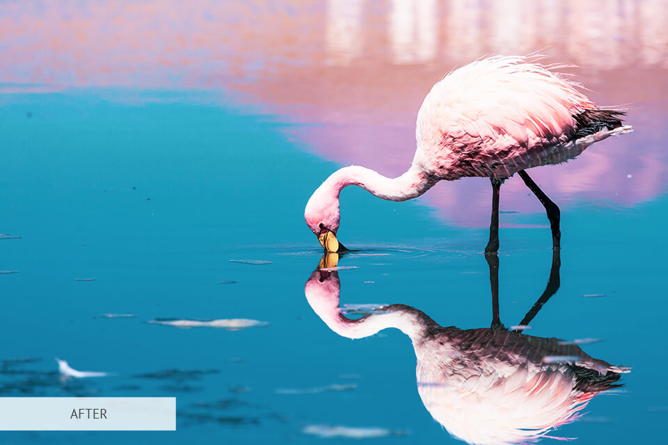 Complementary Colors in Photography: 21 Tips