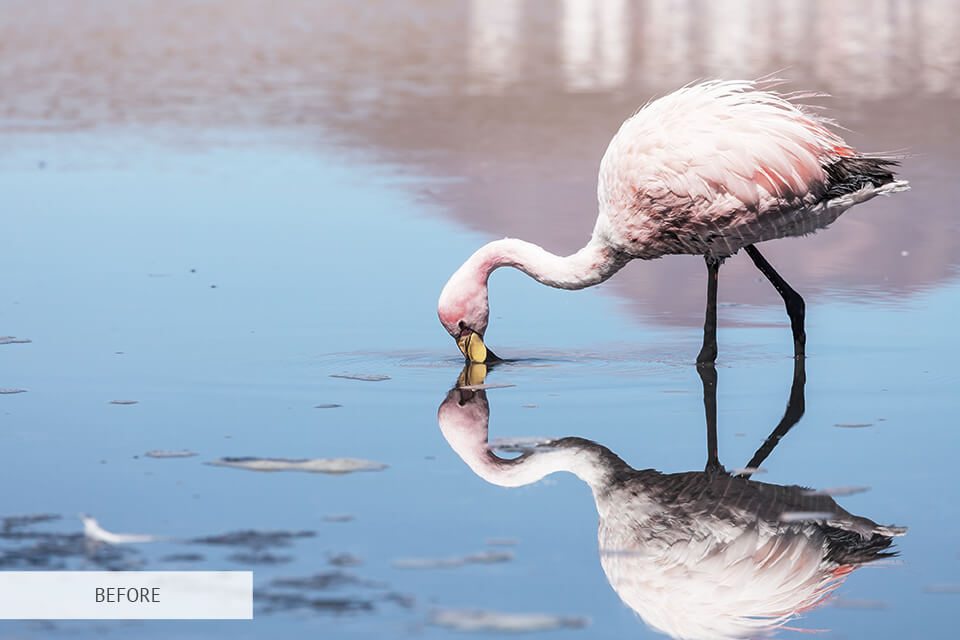 Complementary Colors in Photography: 21 Tips