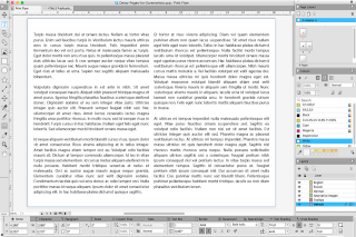 16 Best Book Design Software in 2025
