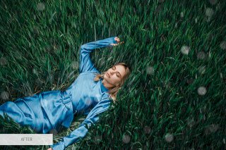 CorelDRAW 11 Free Download (Updated 2025 Version)