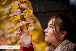 Corel DRAW X7 Portable Free Download