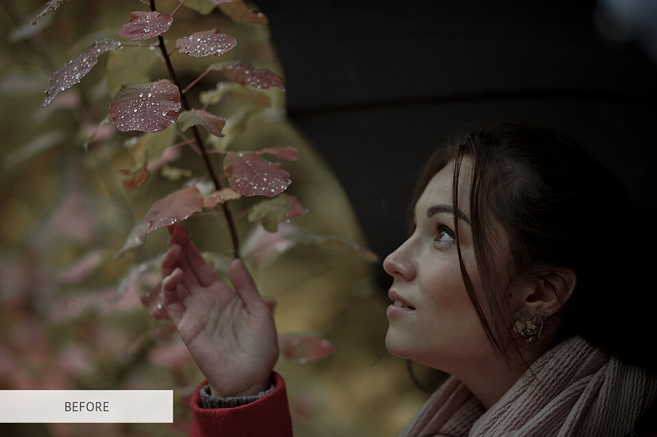 Corel DRAW X7 Portable Free Download