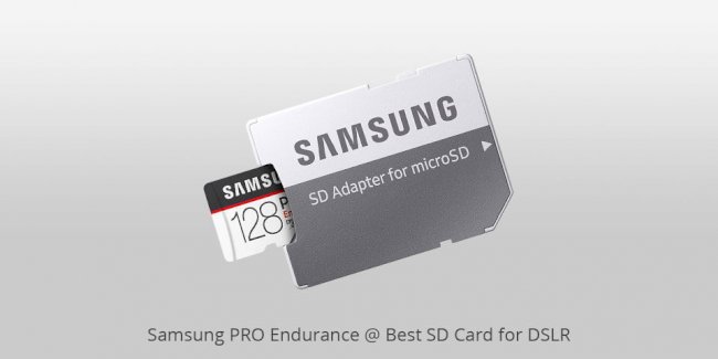 11 Best SD Cards for DSLR in 2025