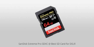 11 Best SD Cards for DSLR in 2025