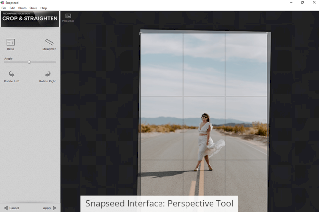 PhotoDirector vs Snapseed: What Software to Choose