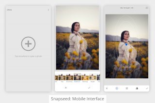 Polarr vs Snapseed: Which App Is Better?