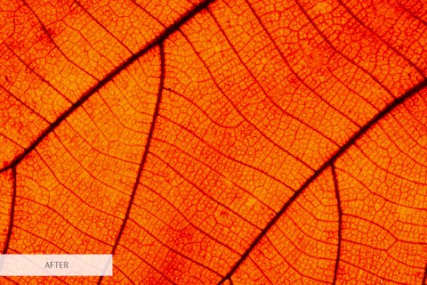 30 Abstract Photography Ideas of Everyday Objects