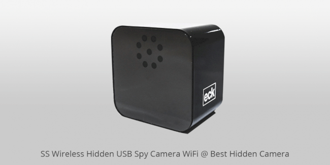 11 Best Hidden Cameras in 2020