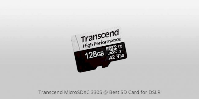 11 Best SD Cards for DSLR in 2025