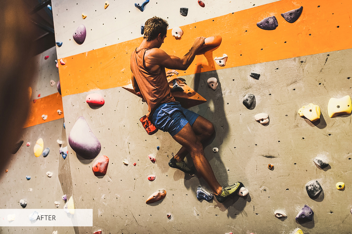 Tribe Archipelago Presets Review – 10 FREE Archipelago Presets