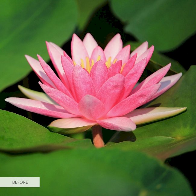 14 Best GIMP Tutorials in 2021