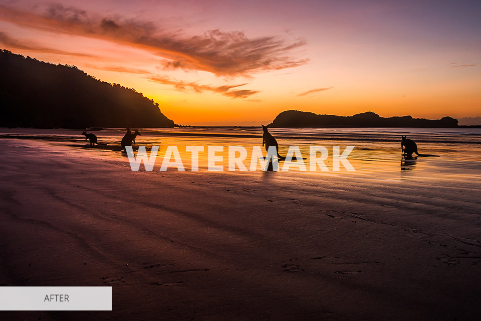 How to Add Watermark in Lightroom – 2 Methods