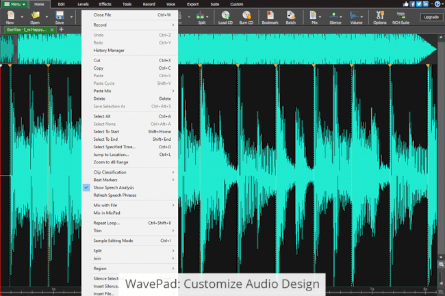 Adobe Audition vs WavePad: What Program to Choose?