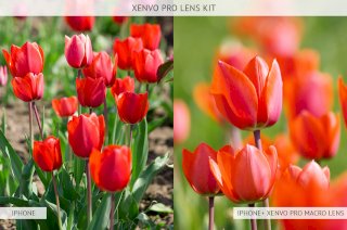 11 Best Phone Camera Lenses in 2024