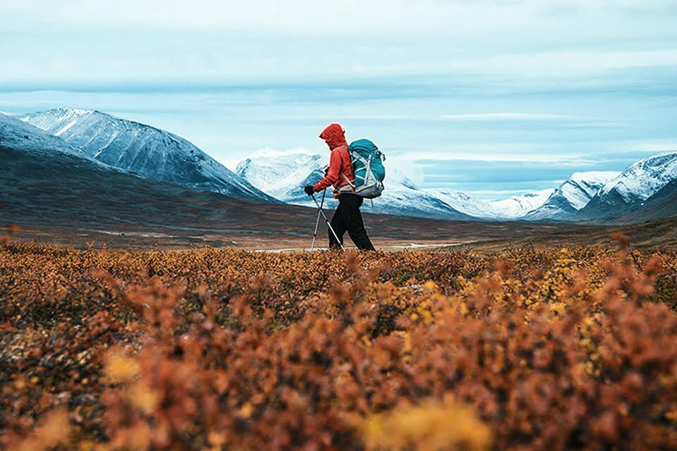 15 Best Cameras for Backpacking – What Is the Best Camera for Traveling?