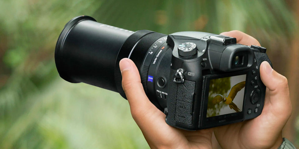 8 Best Bird Photography Cameras in 2025