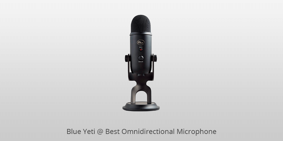 5 Best Omnidirectional Microphones in 2024