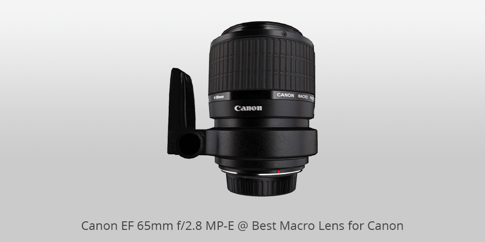 10 Best Macro Lenses for Canon in 2025