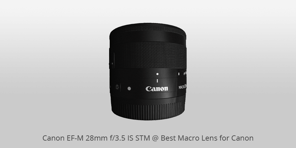 10 Best Macro Lenses for Canon in 2025