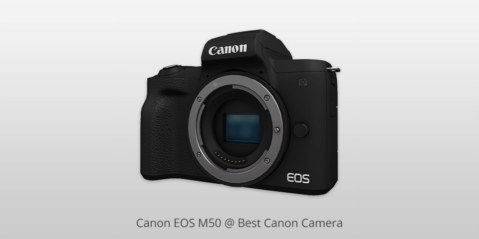 15 Best Canon Cameras to Invest in 2022