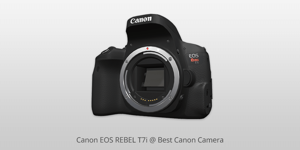 15 Best Canon Cameras to Invest in 2023