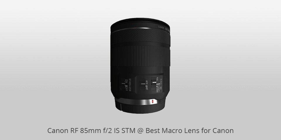 10 Best Macro Lenses for Canon in 2025