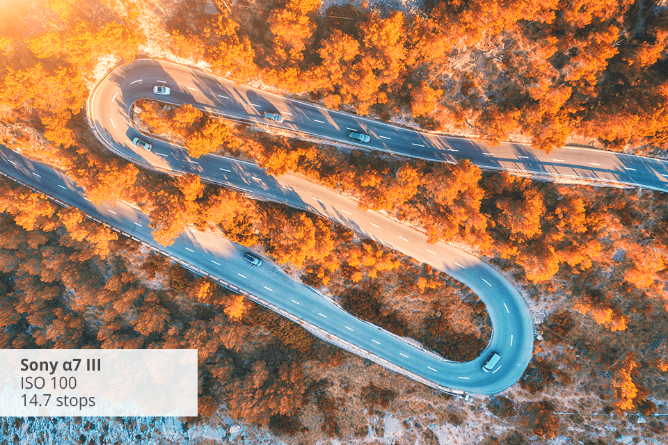 Cameras with Highest Dynamic Range: Rankings & Comparison