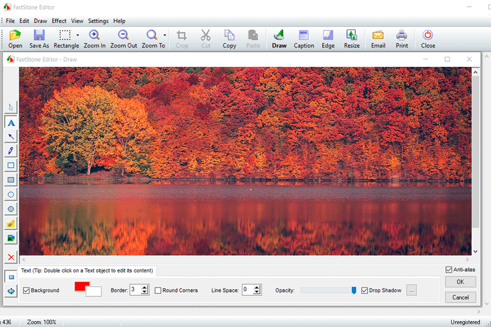 Faststone Screen Capture Download