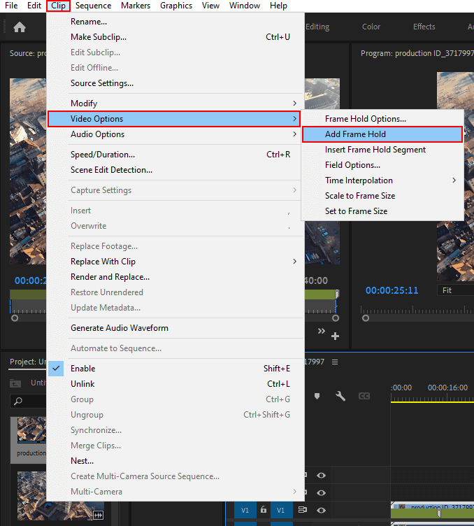 How To Create Freeze Frame In Adobe Premiere Pro For Beginners