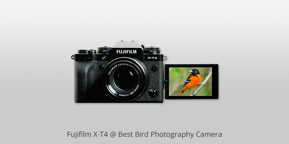 8 Best Bird Photography Cameras in 2025