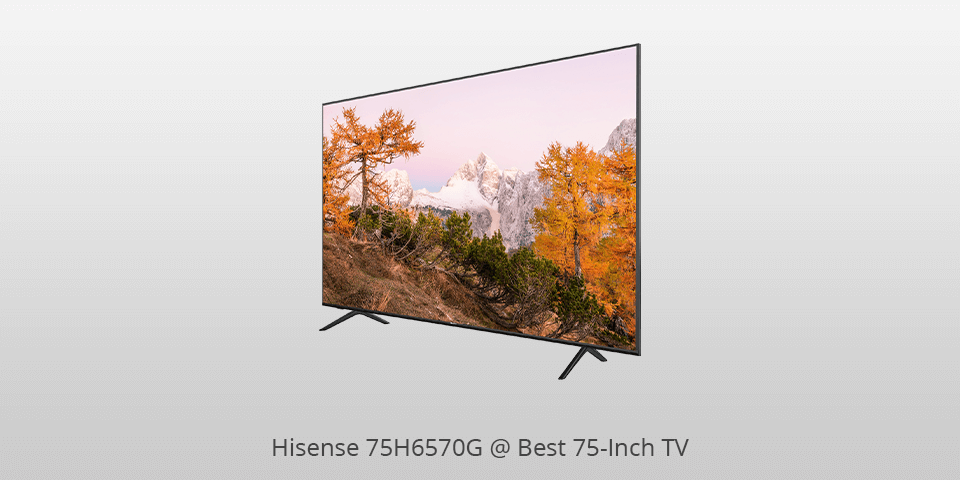 5 Best 75 Inch TVs in 2024: Highest Rated & Popular
