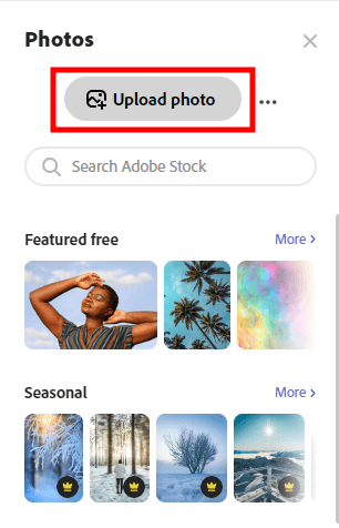 How to Use Adobe Express: Tips from Experts