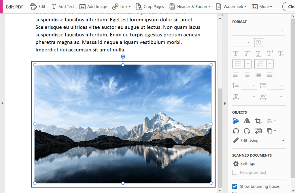  PDF Adobe Acrobat 2024