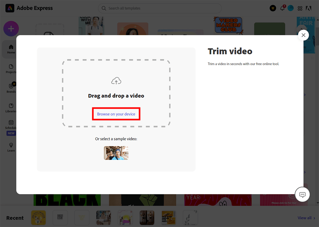 How to Use Adobe Express: Tips from Experts