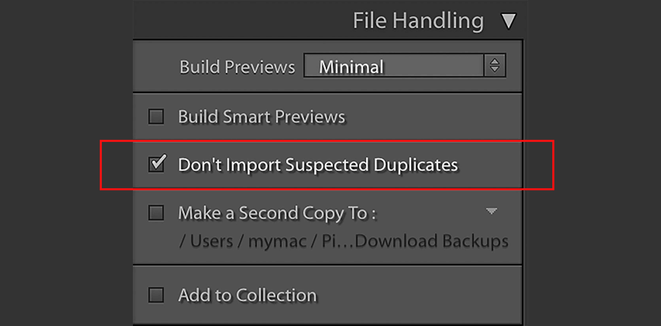 How To Import Raw Files Into Lightroom — Desktop And Mobile