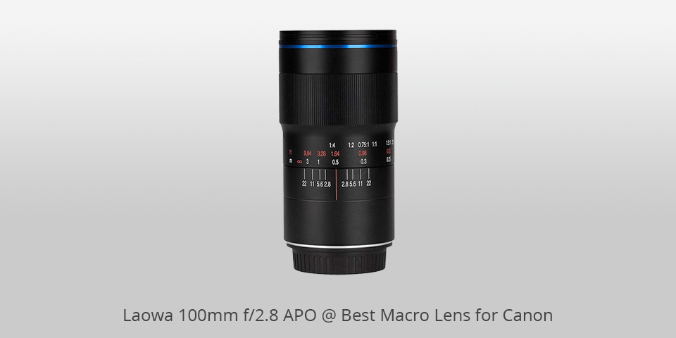 10 Best Macro Lenses for Canon in 2025
