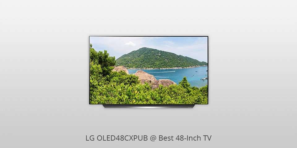 5 Best 48 Inch TVs in 2024: Ranked & Reviews