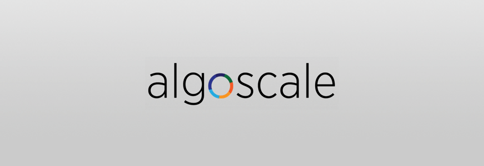 Algoscale Data Consulting Company Review 2026 Main Benefits