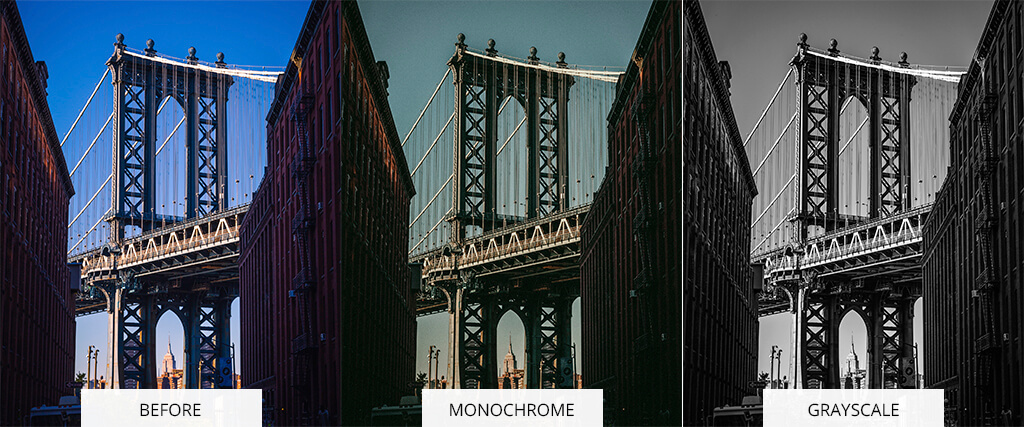 Black And White Color Picture Editing Monochrome Vs Grayscale 