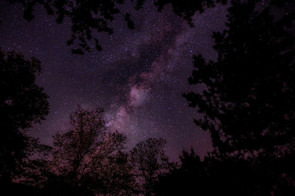 Best Cameras for Night Photography in 2025