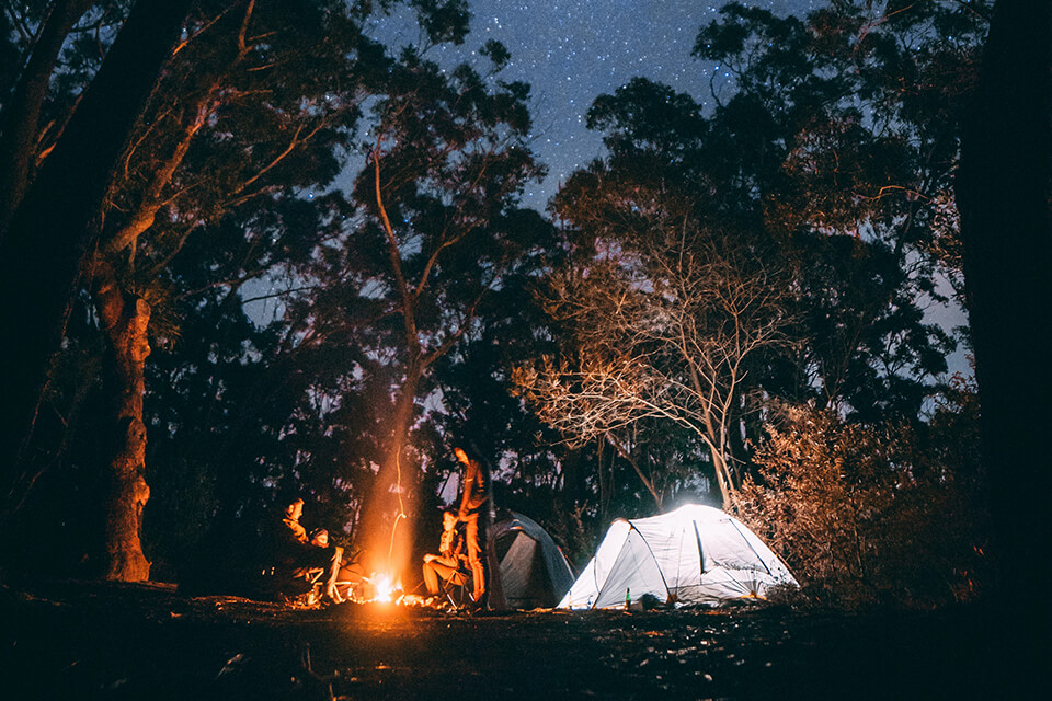 Best Cameras for Night Photography in 2025