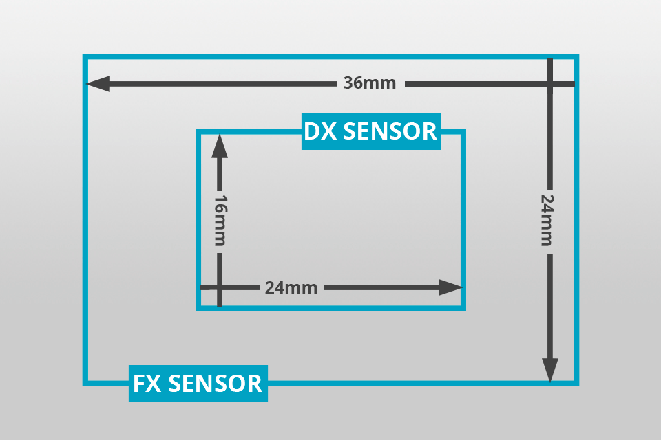 Nikon DX Vs FX What s The Difference 