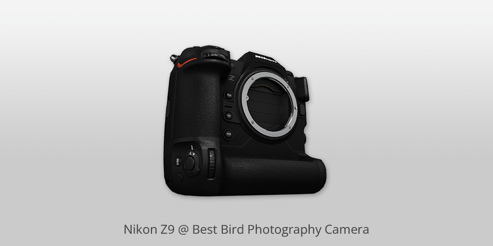 8 Best Bird Photography Cameras in 2025