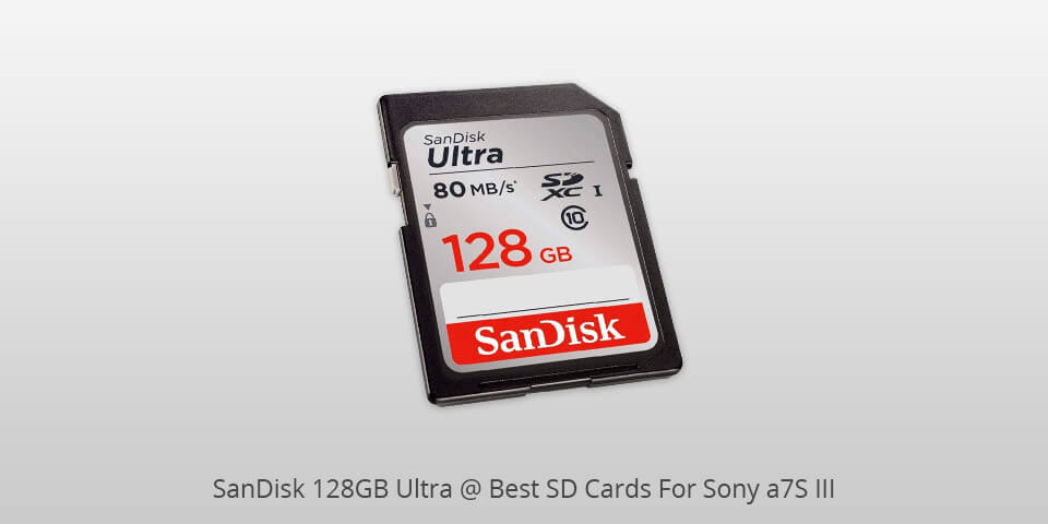 6 Best SD Cards For Sony a7S III in 2025