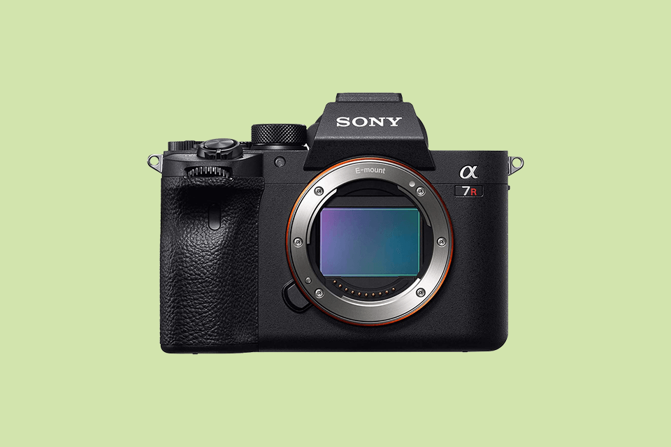 Cameras with Highest Dynamic Range: Rankings & Comparison